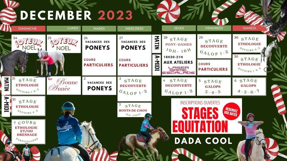 BMV DRESSAGE, école d'équitation DADA COOL - STAGES VACANCES